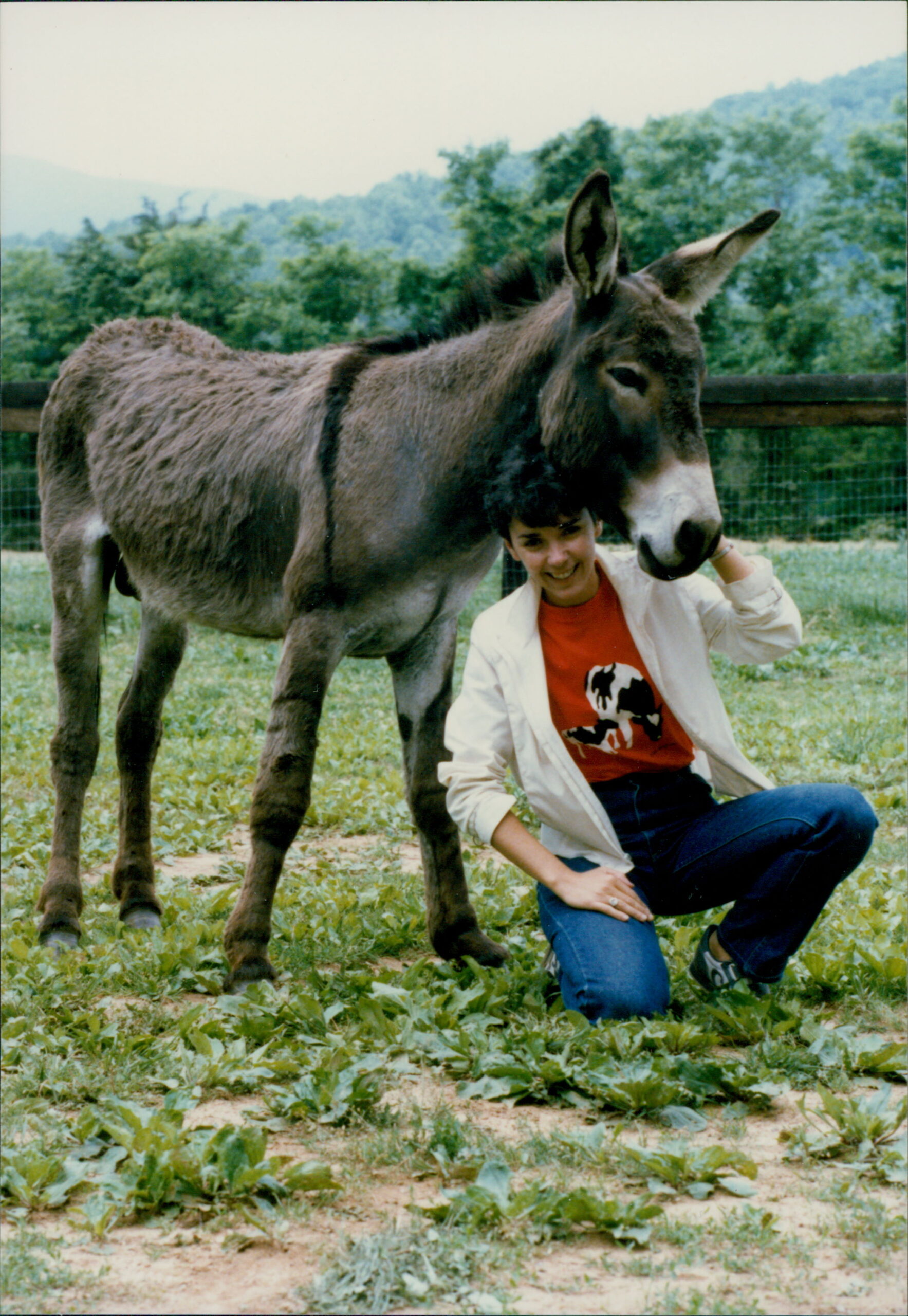 About - Cynthia A. Branigan